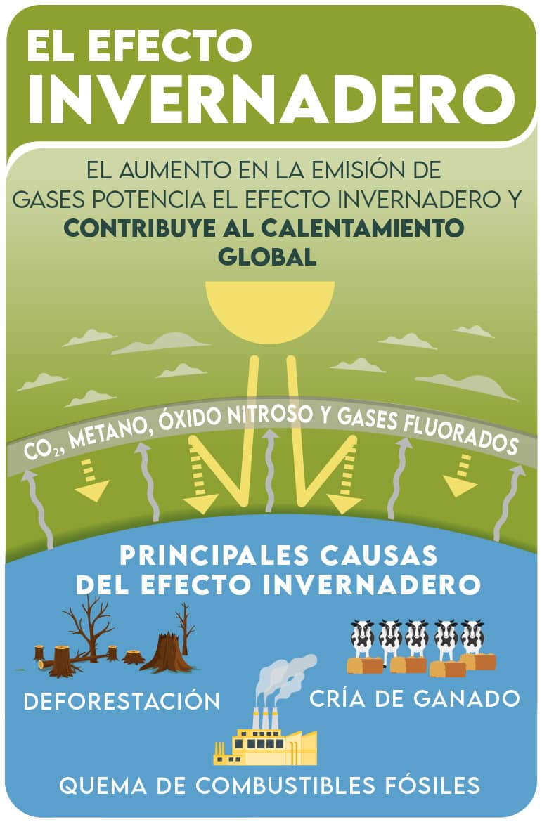Causas Del Efecto Invernadero Y Cómo Evitarlo – TRLP